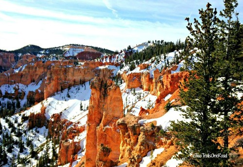 Winter, Spring, Summer and Fall – Two Trails One Road