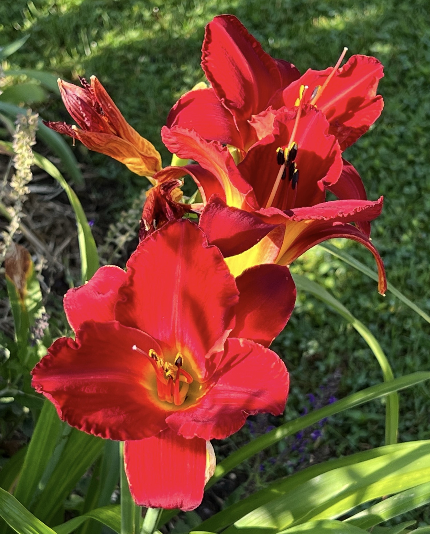 Screenshot – Two Trails One Road